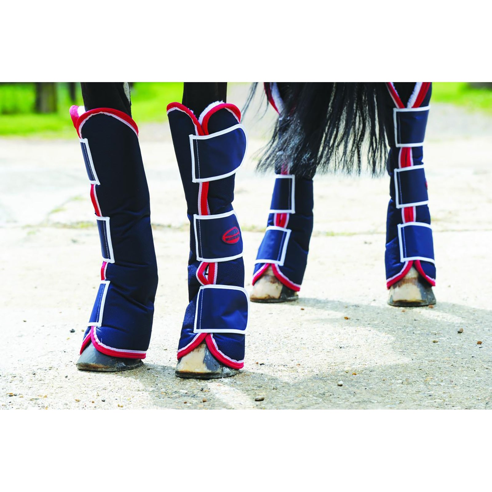 Wide Tab Long Travel Boots Dark Blue/Red/White P – horze