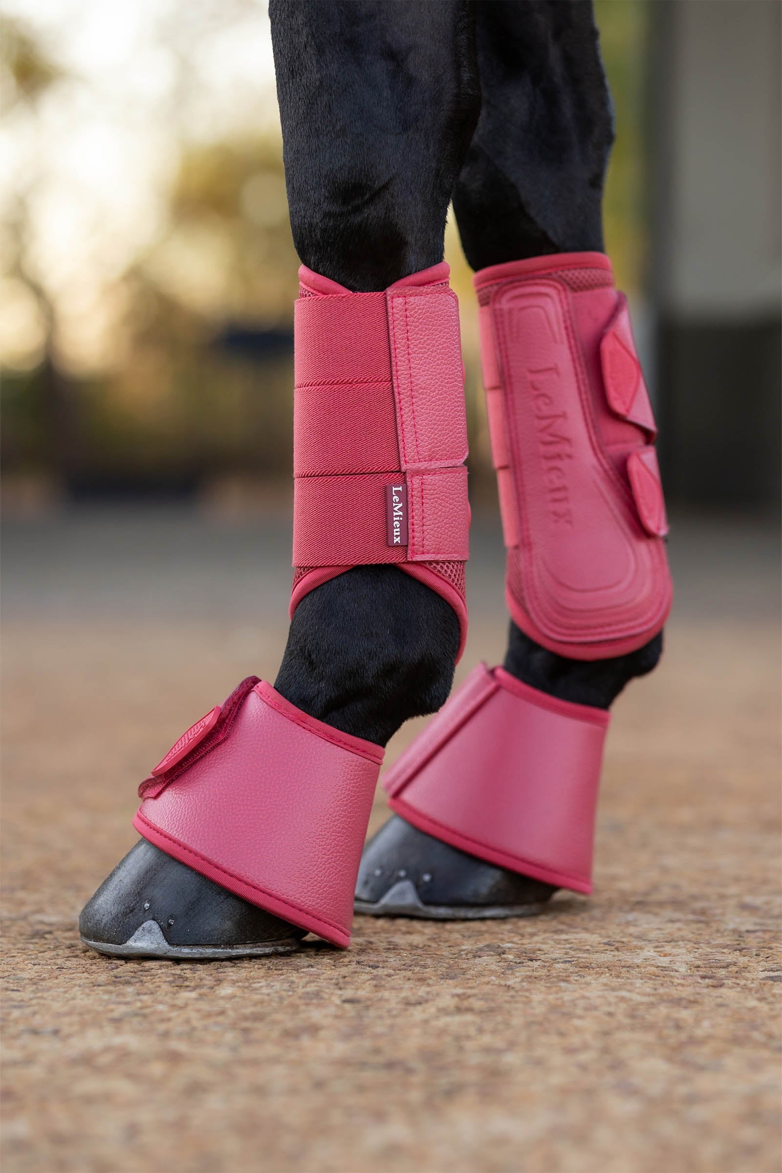 Arika Over Reach Boots Cranberry 00S – horze