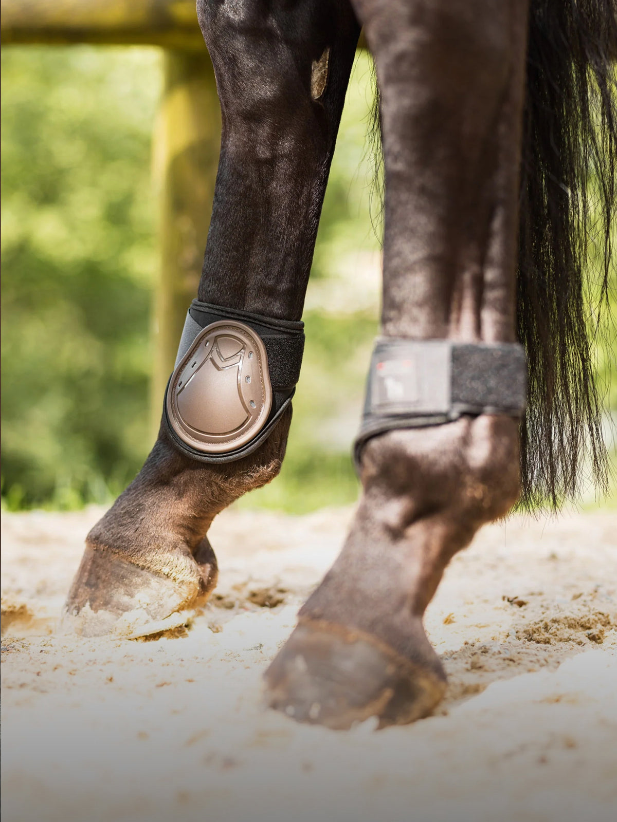 Horze - Your online shop for everything you need in equestrian sports ...