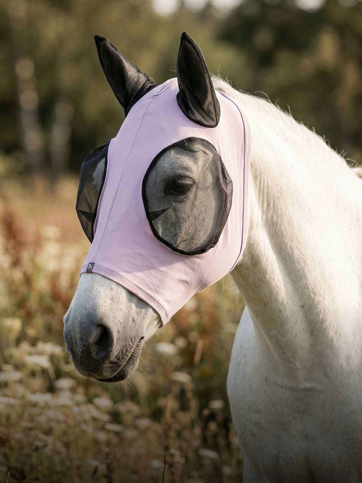 Horze - Your online shop for everything you need in equestrian sports ...