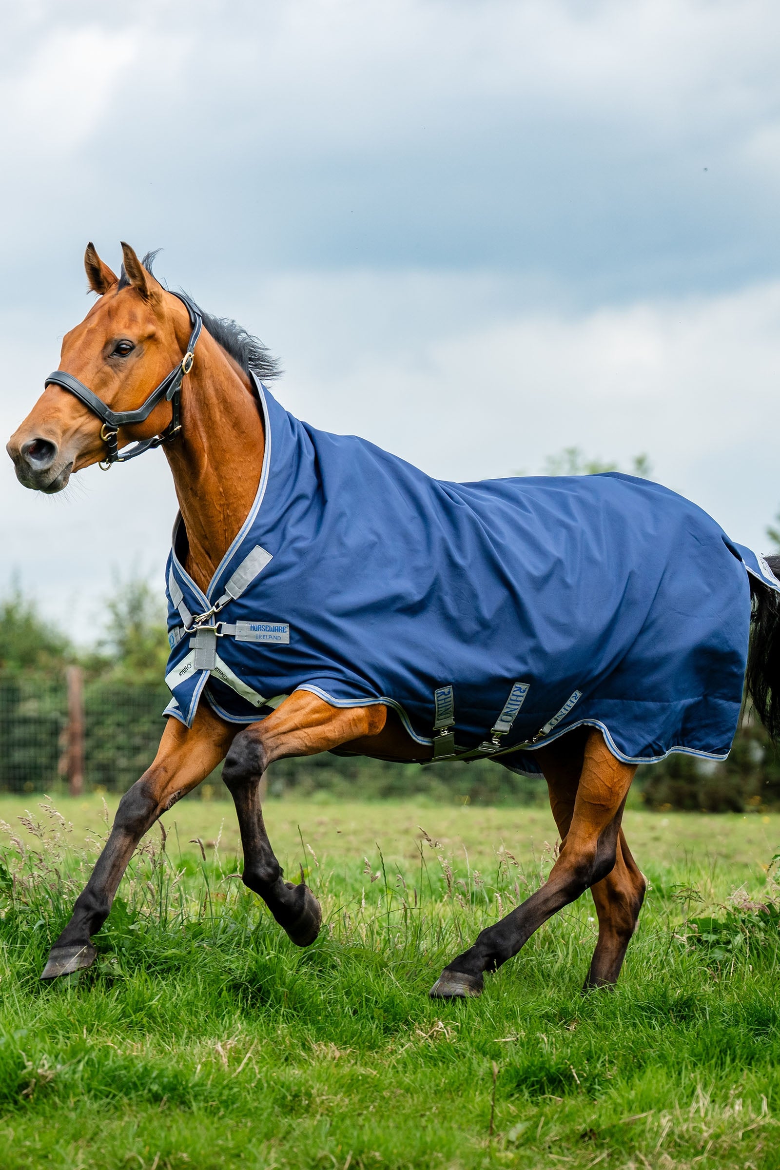 Horseware Rhino Wug Turnout 100g - Navy/Titanium Grey & Classic Blue ...