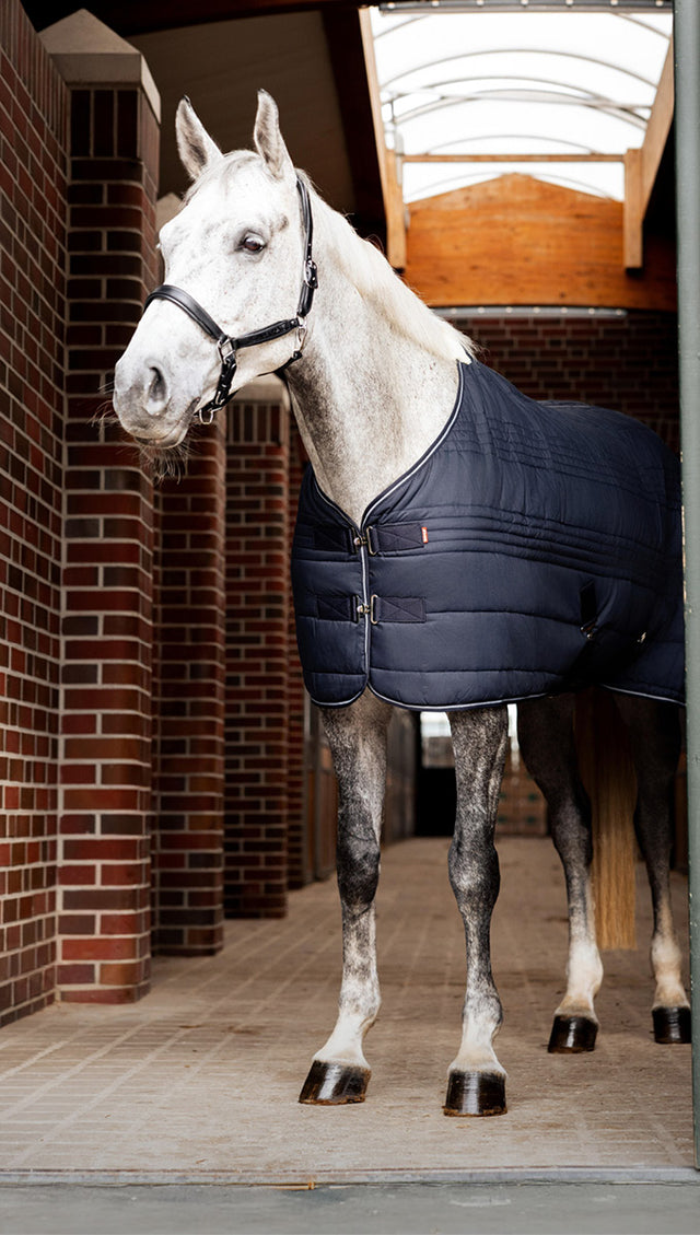 Horze - Your online shop for everything you need in equestrian sports ...